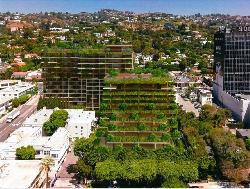 Residences at the West Hollywood Edition Sunset Strip | 9040 W Sunset Blvd.